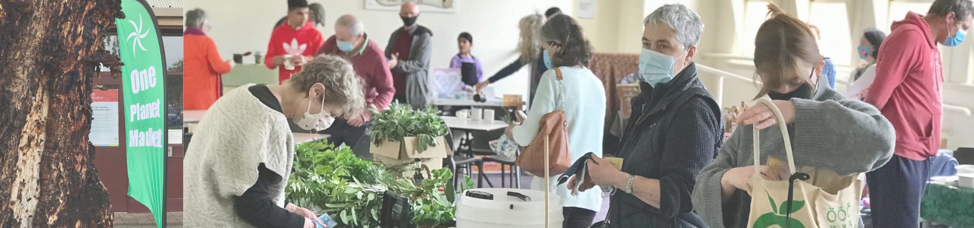 Information desk volunteer | Sustainable Communities SA